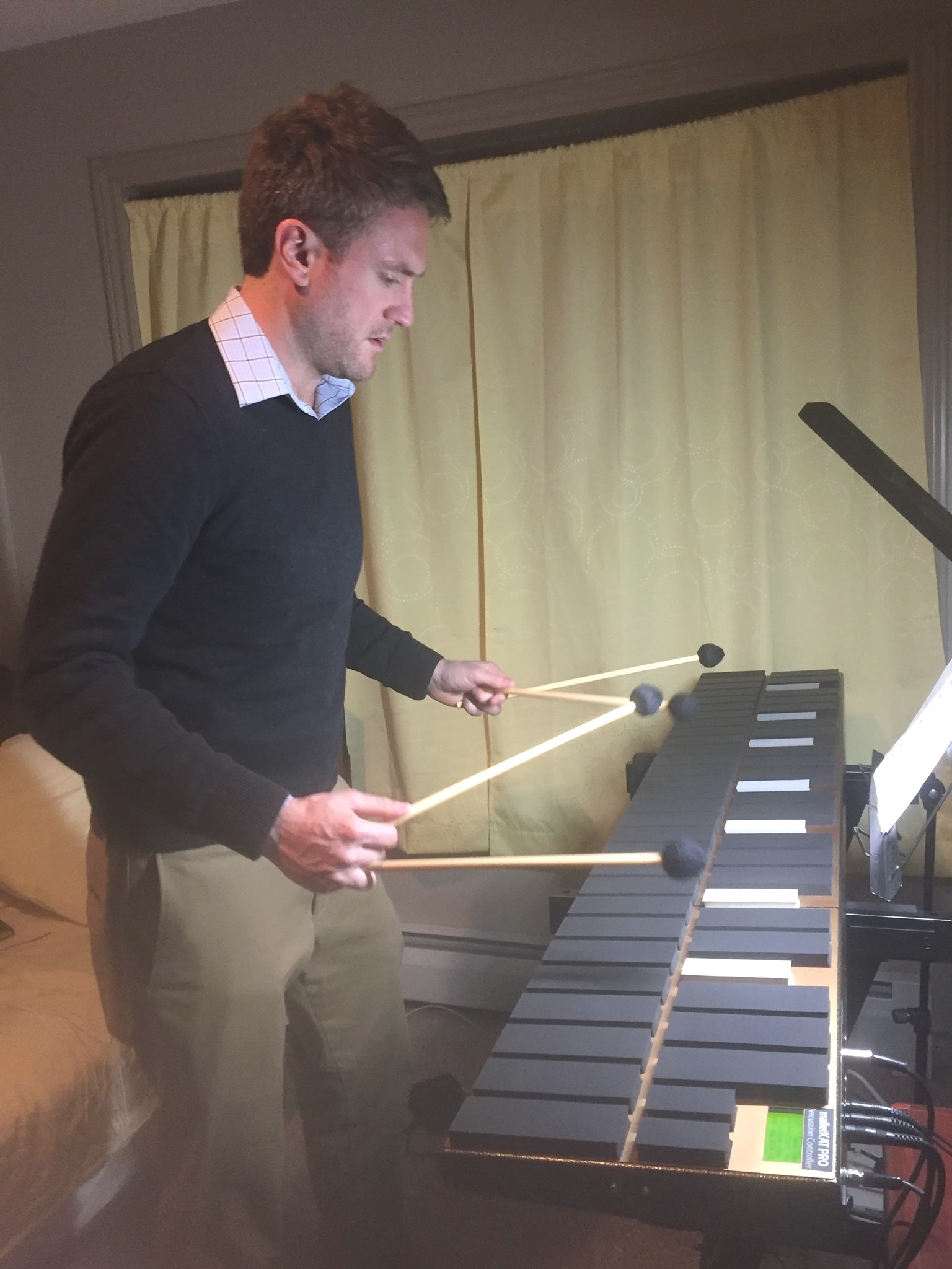 2016-vibraphone.jpg